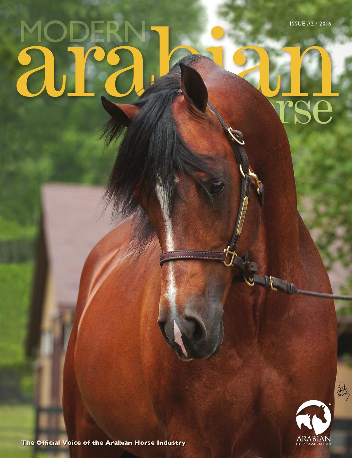Modern Arabian Horse Magazine: Issue 2 Cover, 2016 by Arabian Horse ...