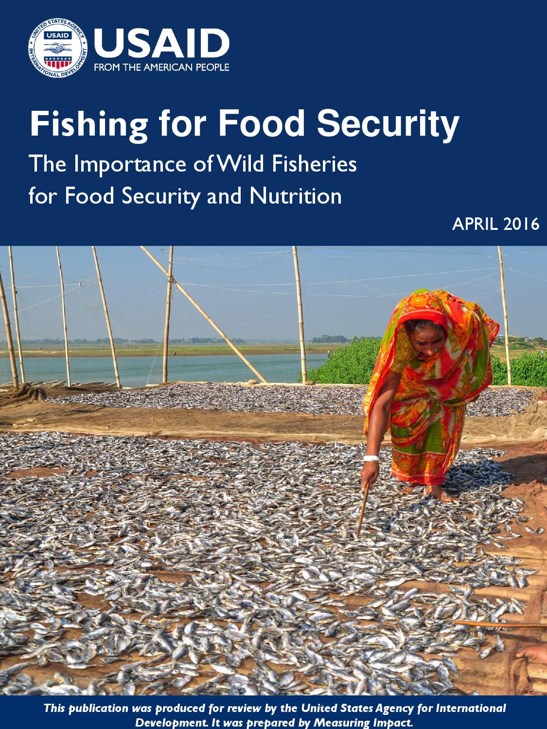 Fishing for Food Security: The Importance of Wild Fisheriesfor Food ...