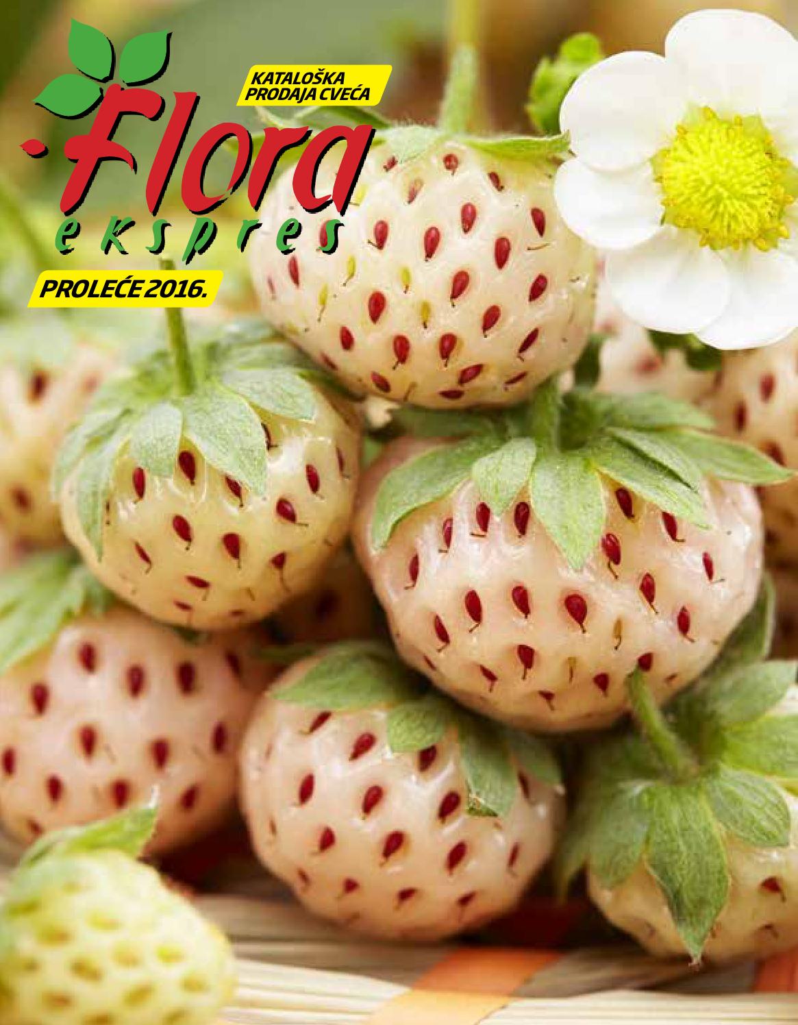 Flora ekspres katalog proleće 2016 by Catalog.rs - Issuu