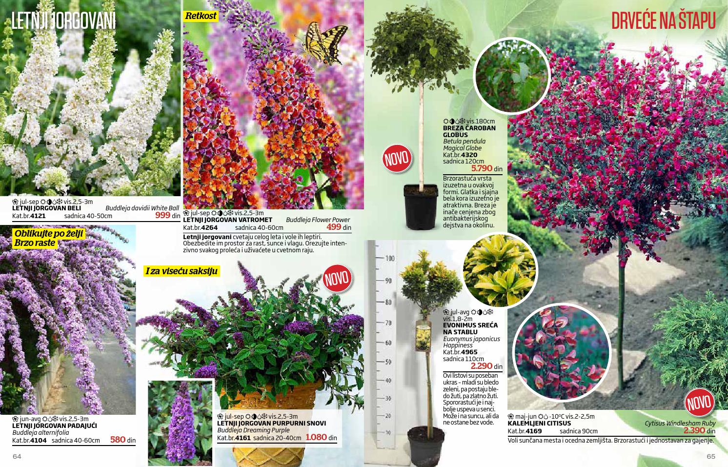 Flora ekspres katalog proleće 2016 by Catalog.rs - Issuu