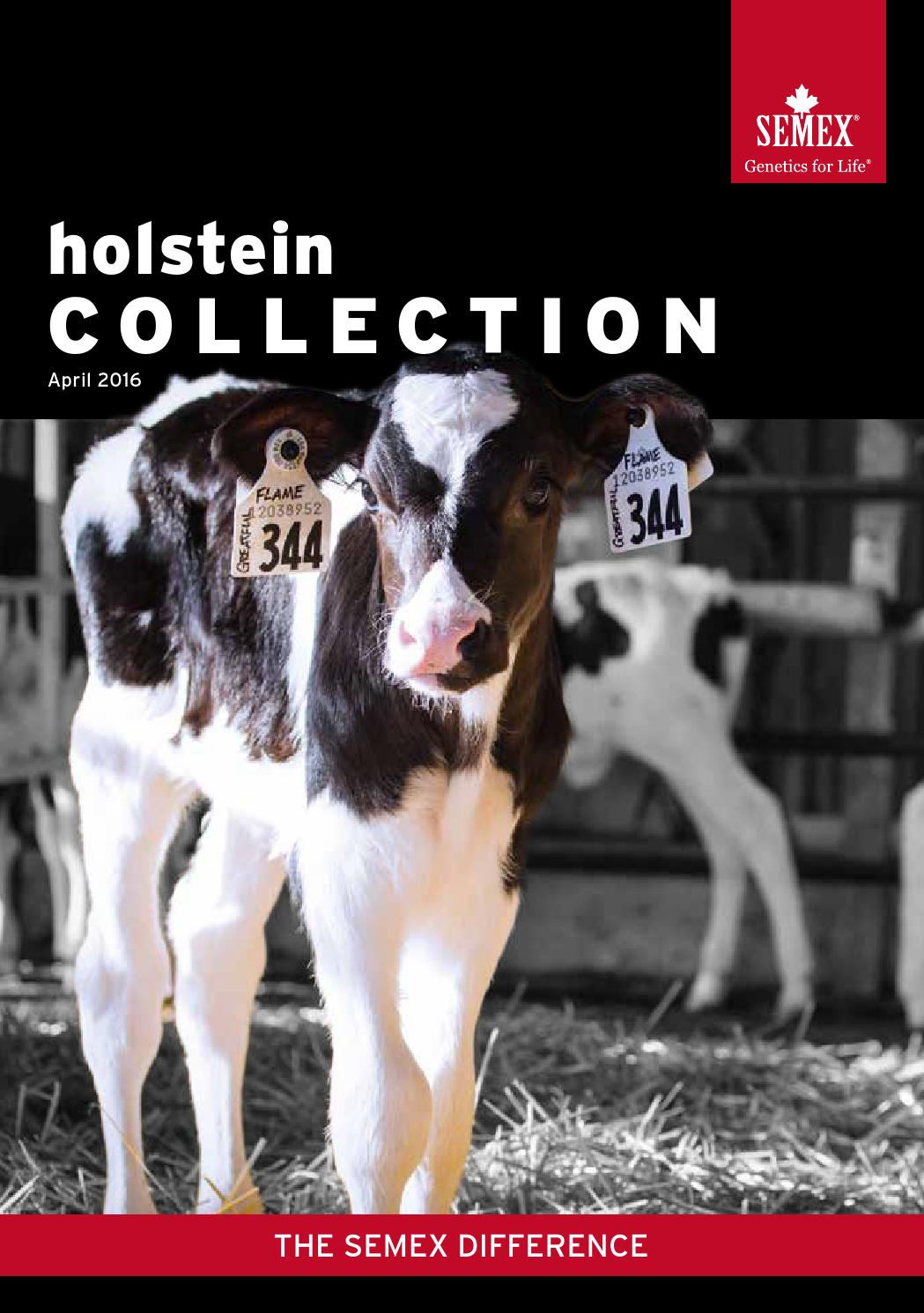 Semex UK - Holstein Sire Directory April 2016 by Semex - Issuu