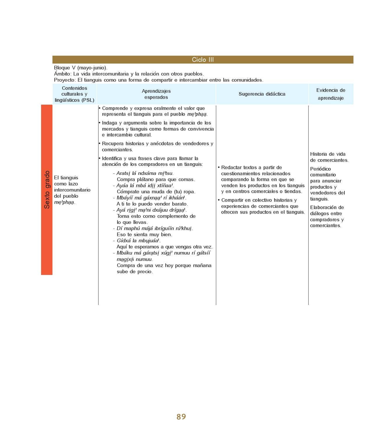 Programa lengua mephaa by Xochipilli Indígena - Issuu