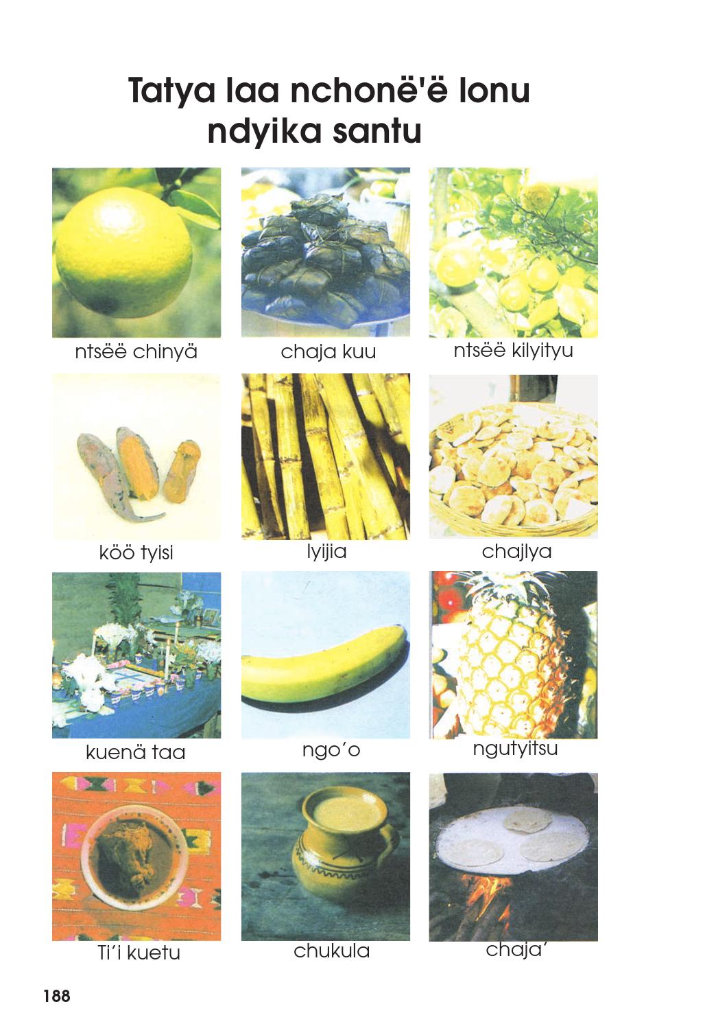 4643 by Xochipilli Indígena - Issuu