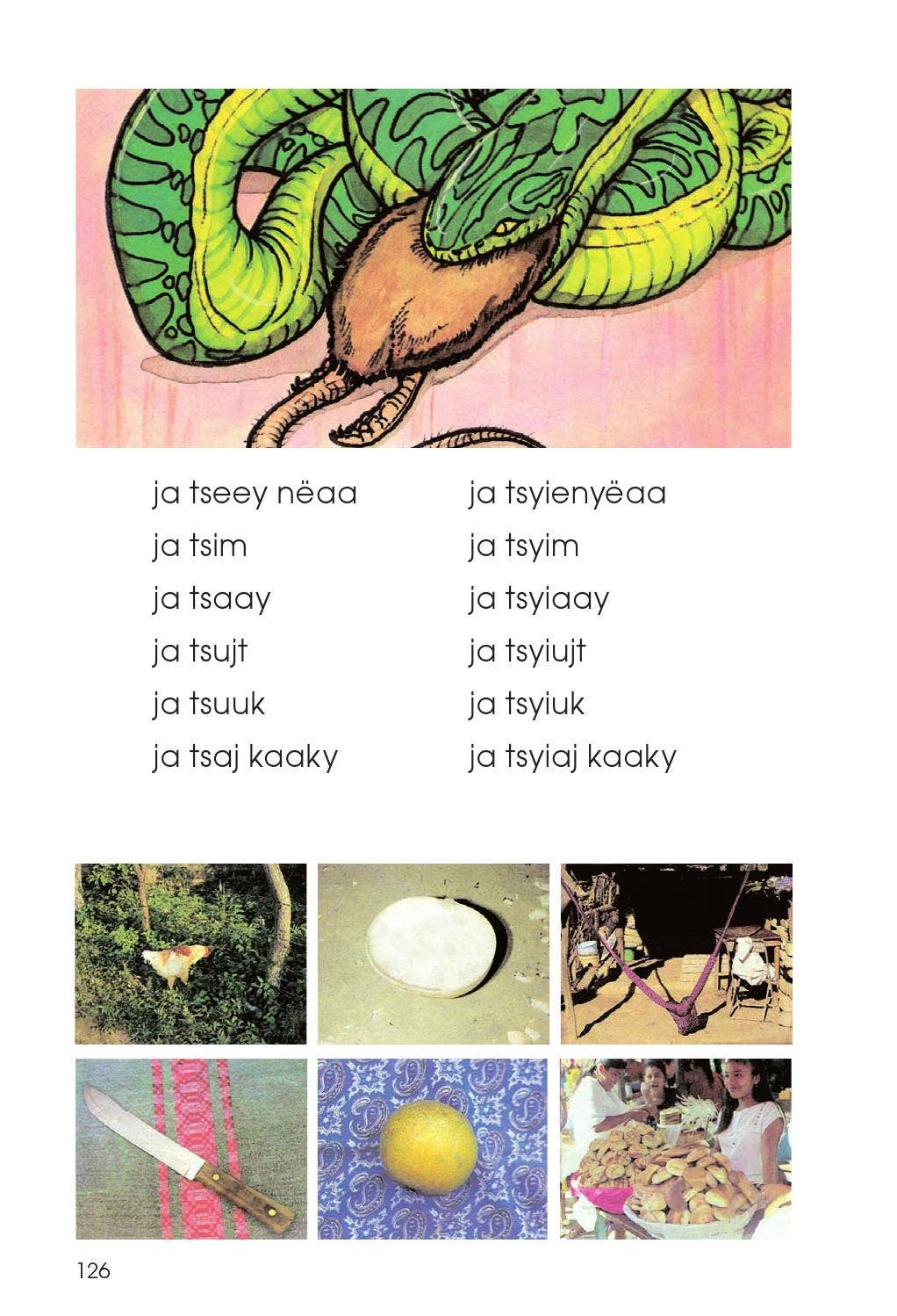 Lengua Mixe Güichicovi, Oaxaca Primer Grado by Xochipilli Indígena - Issuu