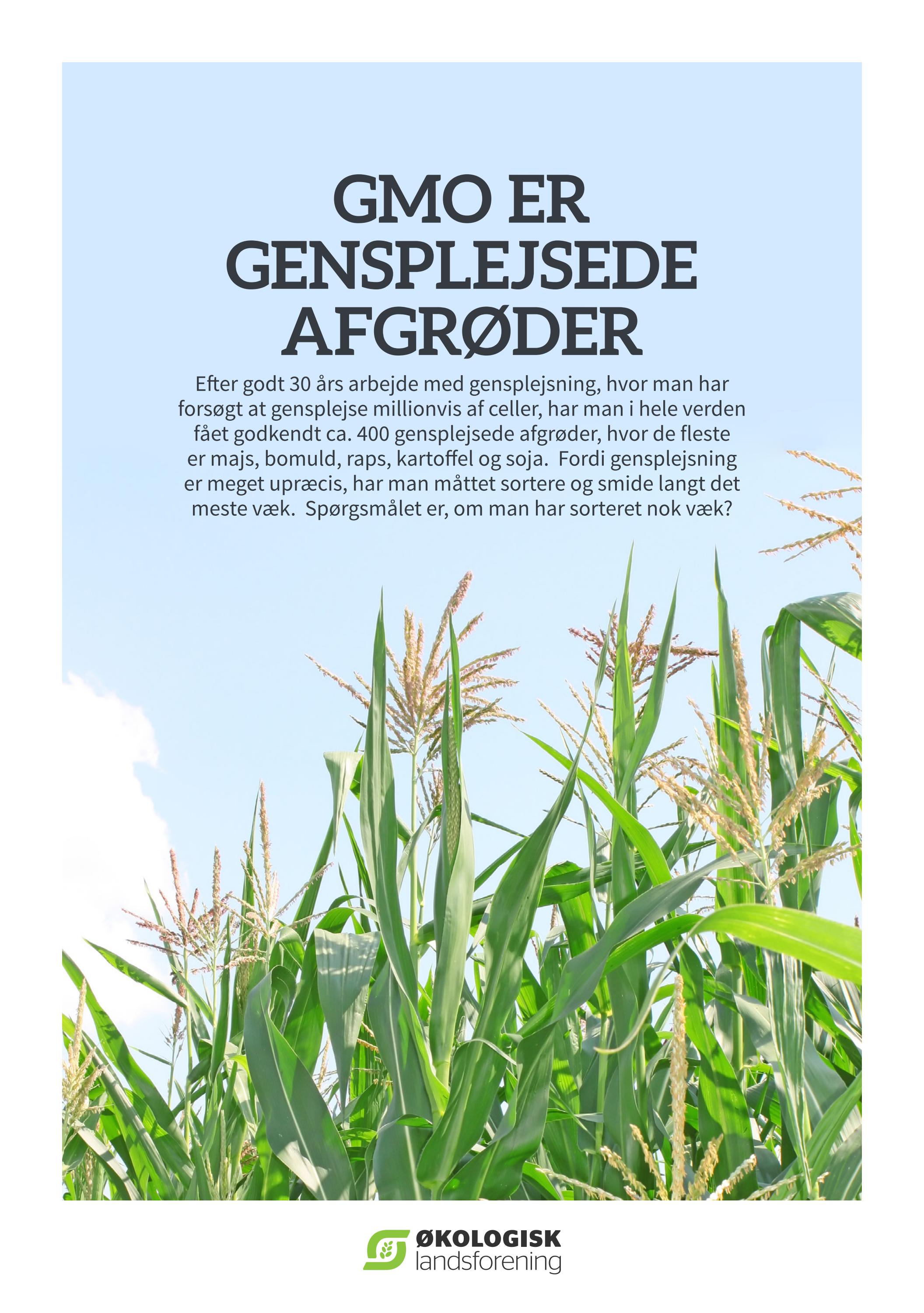 GMO er gensplejsede afgrøder by Økologisk Landsforening - Issuu