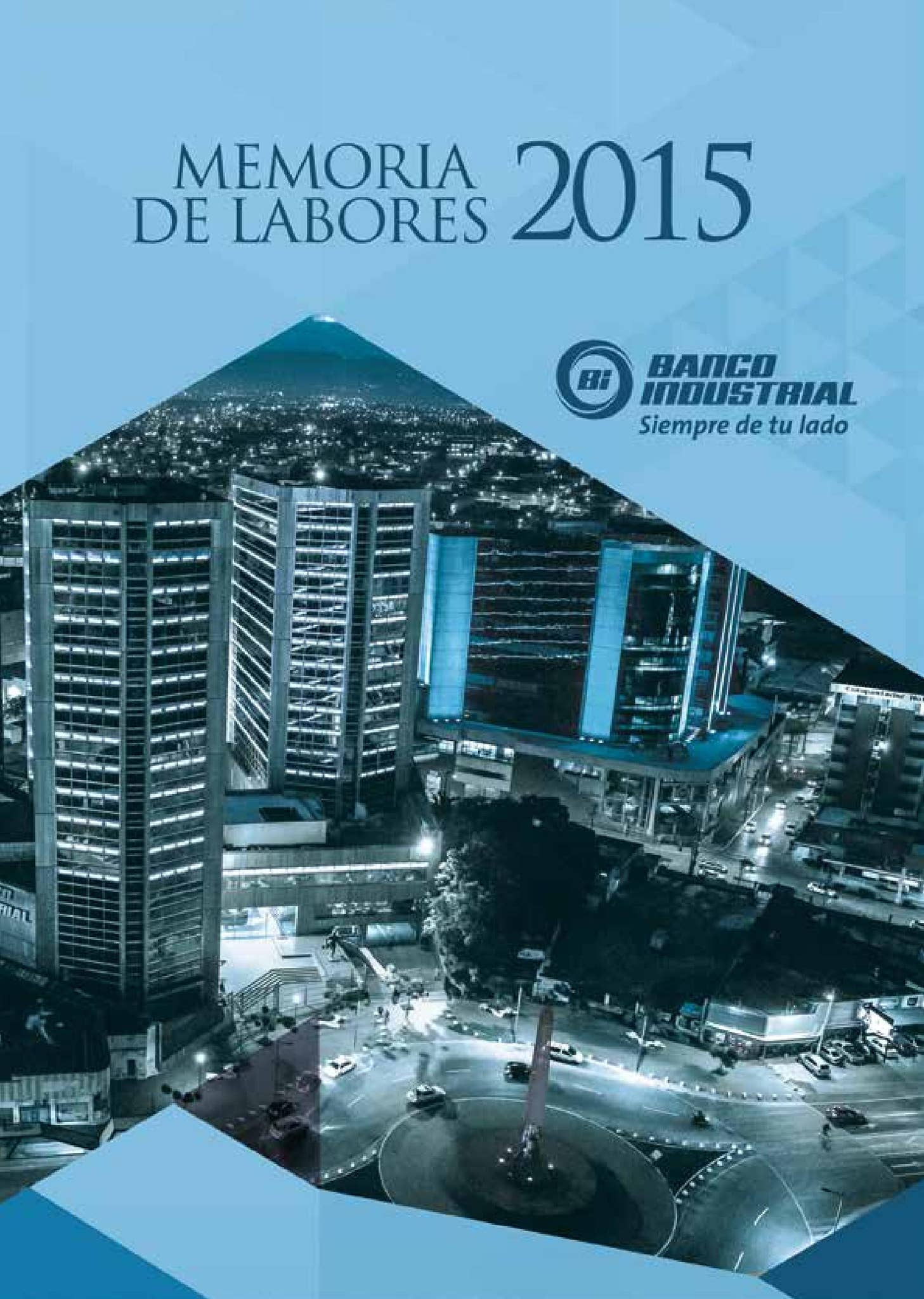 BI MEMOL 2015 by Corporación BI - Issuu
