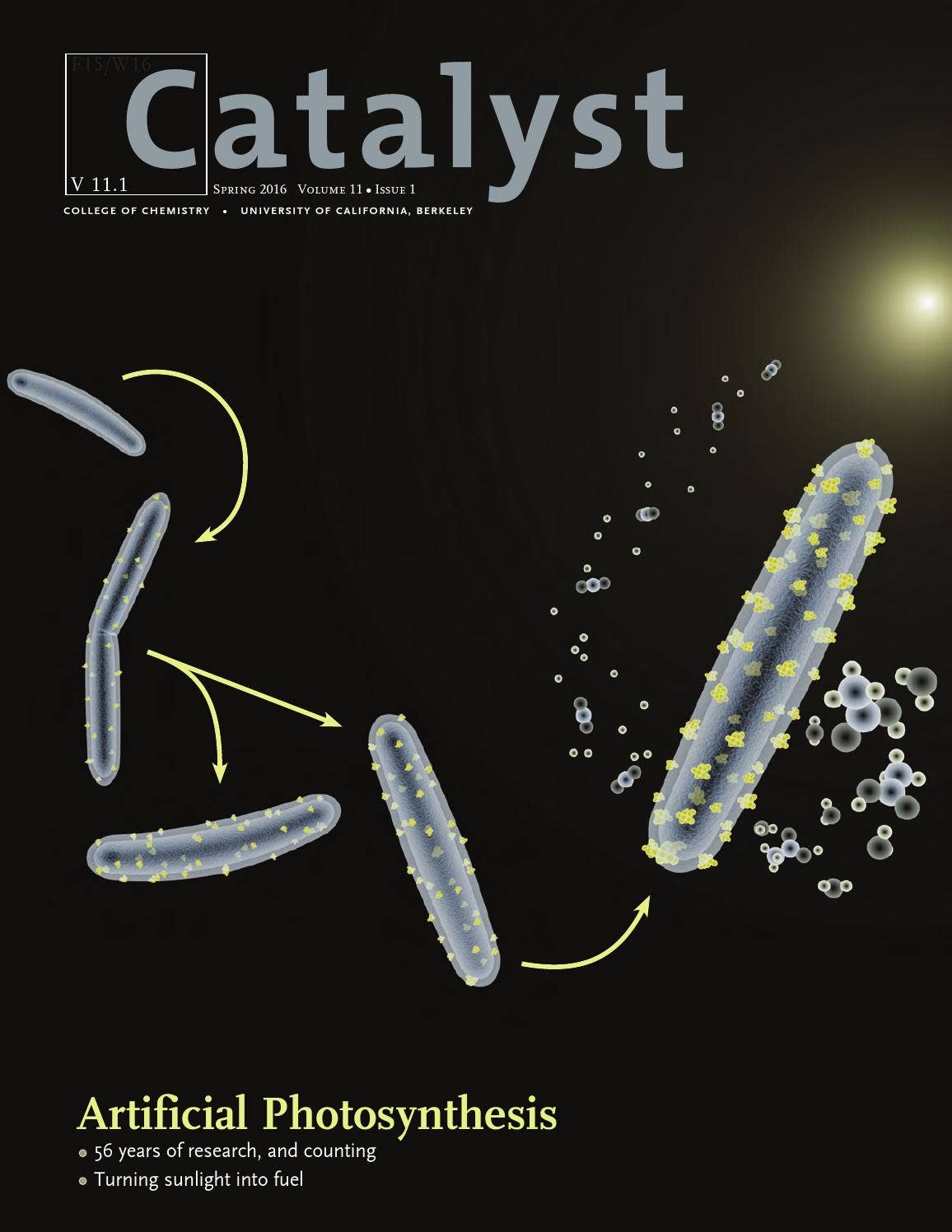 Catalyst Magazine V 11.1 by CATALYST MAGAZINE College of Chemistry, UC ...