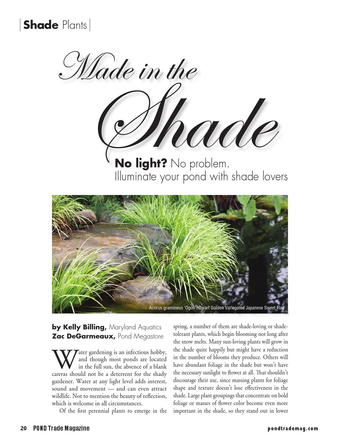 Pond Trade Magazine, May/June 2016 by POND Trade Magazine - Issuu