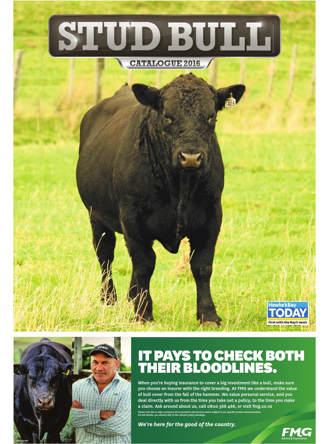 HBT Stud Bull Catalogue 2016 by NZME. - Issuu