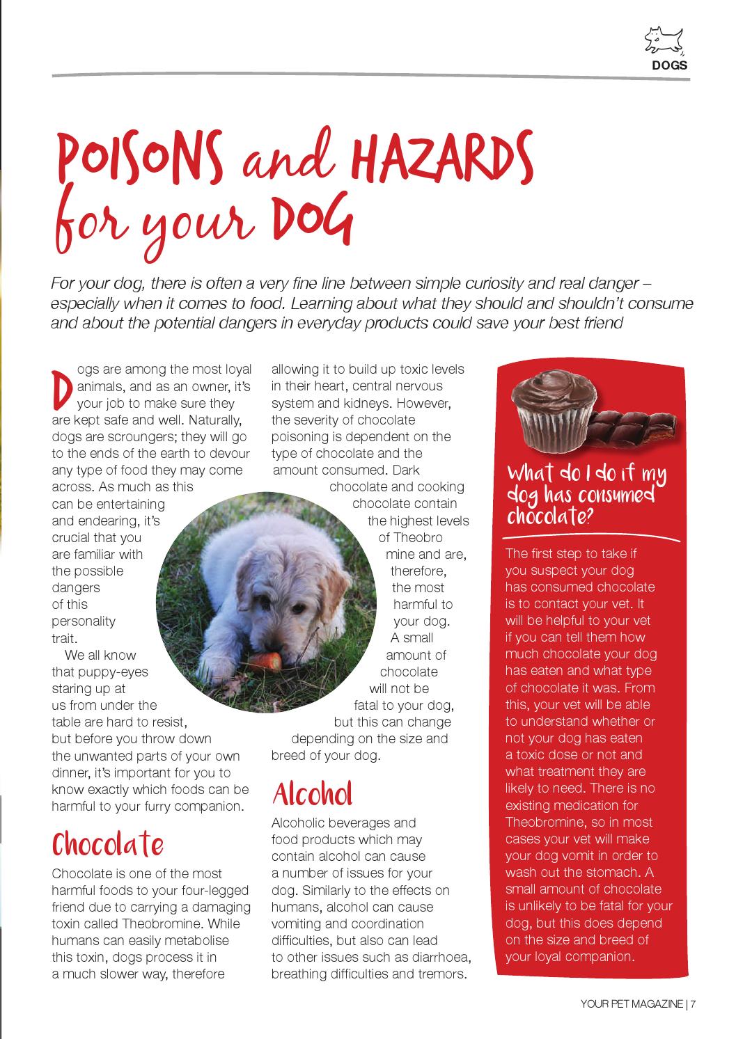 Your Pet Magazine Issue 1 2016 by Life Media Group - Issuu