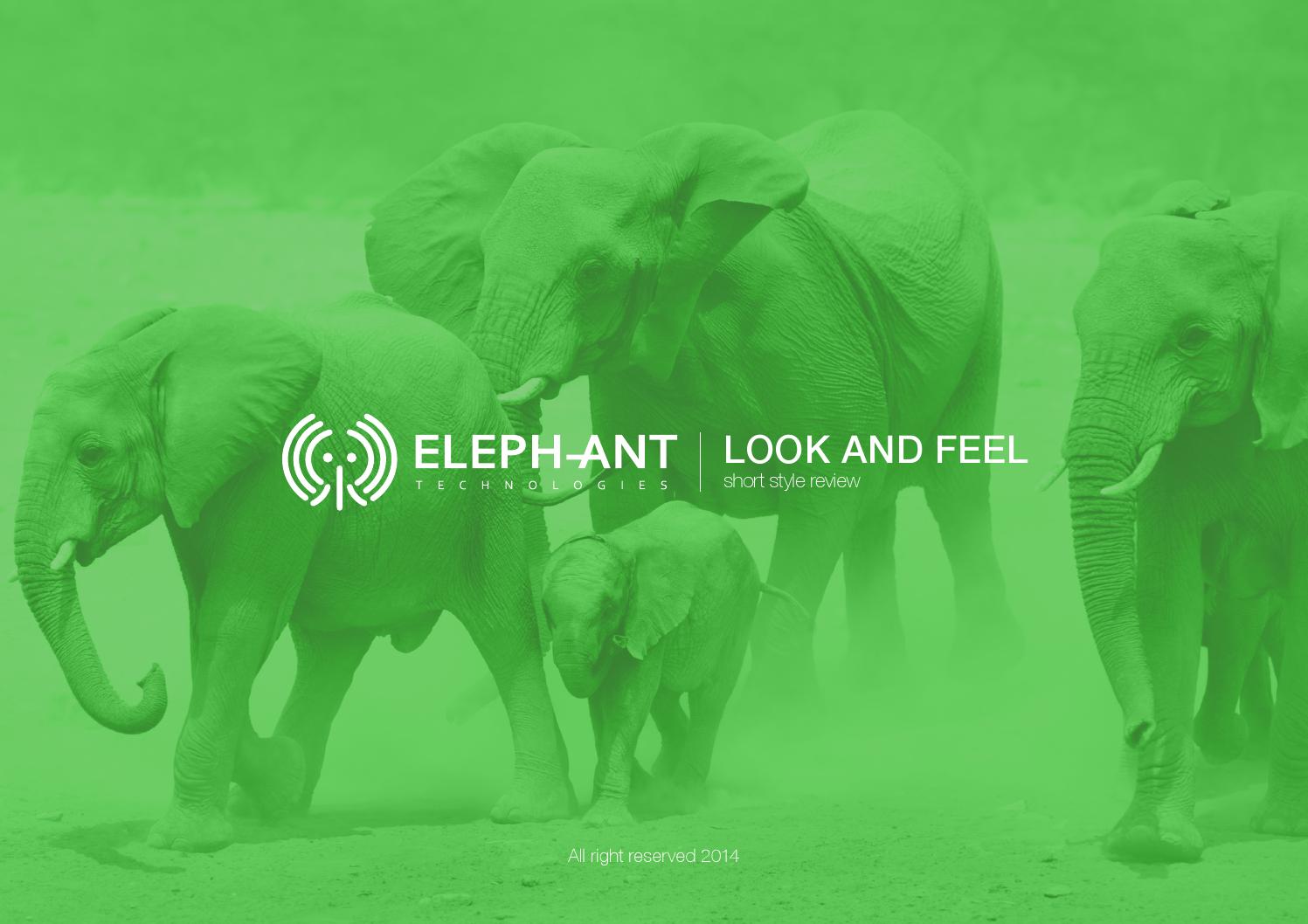 Elephant Brand Guidelines by Khudayar Aghayarov - Issuu