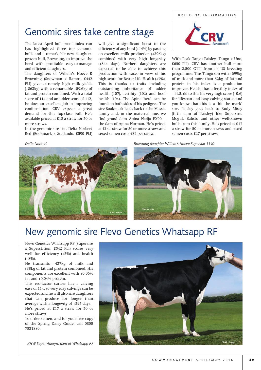 Cow management april-may 2016 by CRV Uitgeverij/CRV Publishers - Issuu