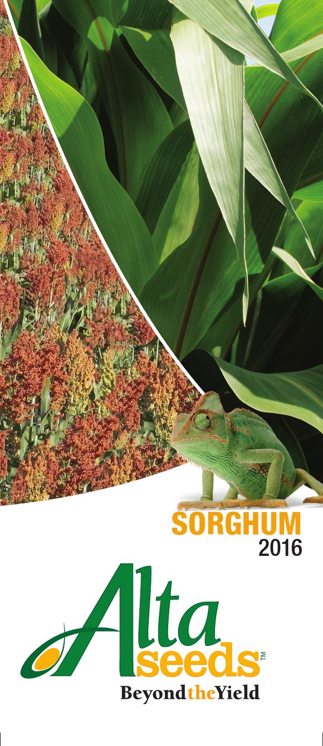 Alta Seed Guide 2016 by The Duff Company - Issuu