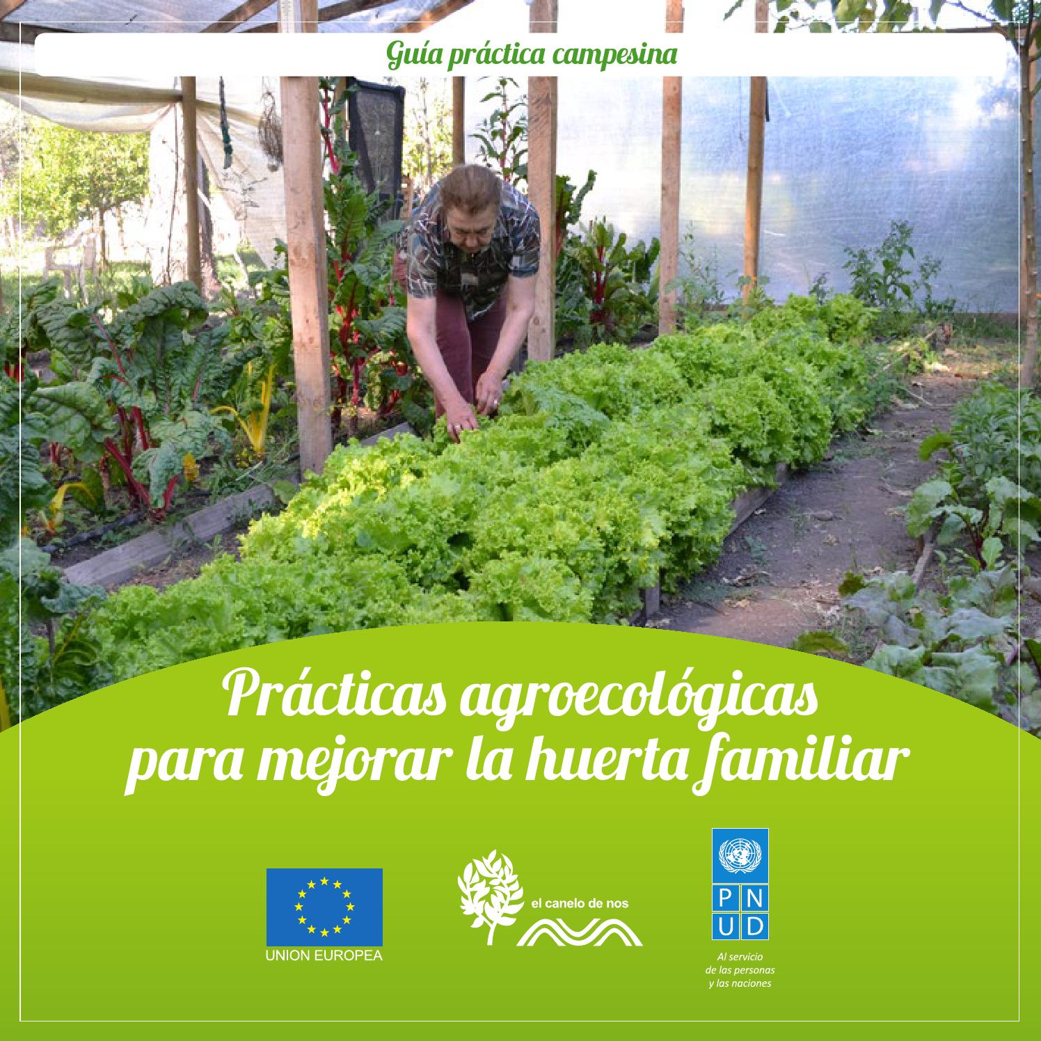 Prácticas agroecológicas para mejorar la huerta famil by juan albornoz ...