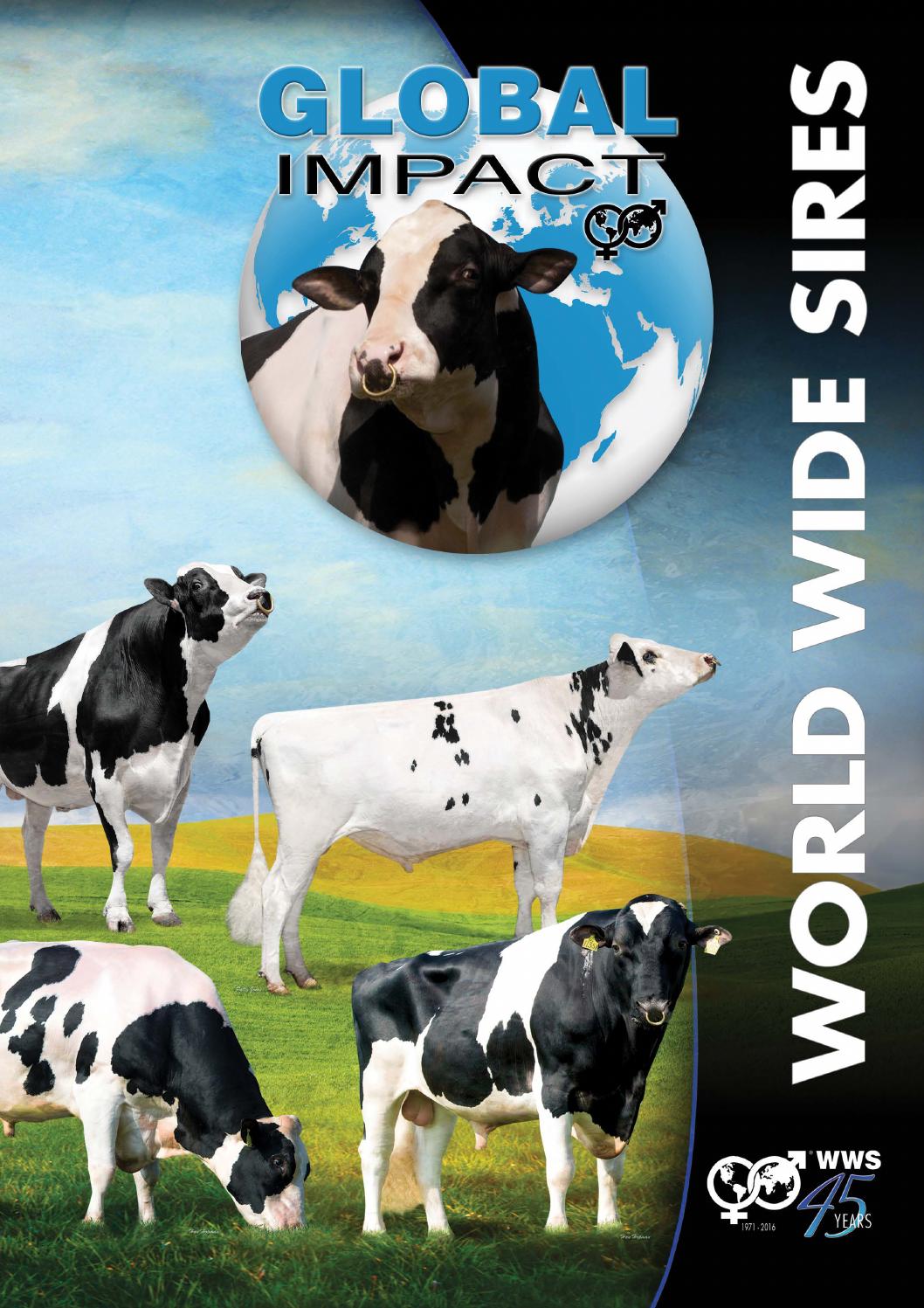 05 16 hi insert eng by World Wide Sires, LTD - Issuu