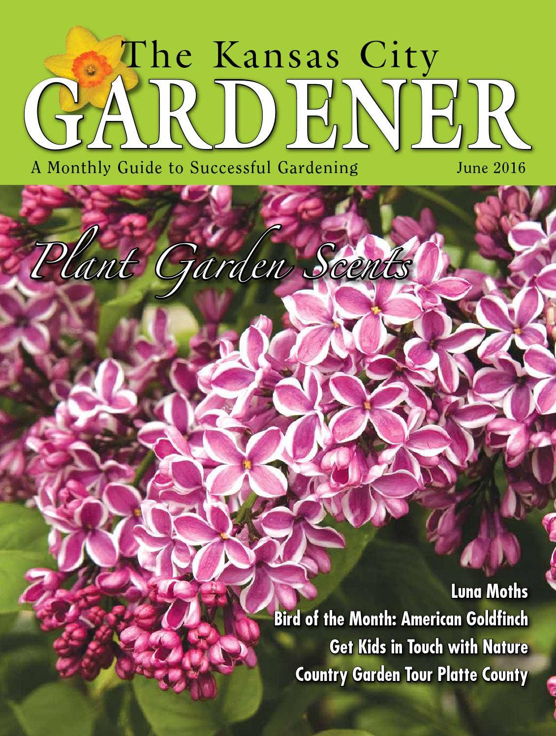 KCGJun16 by The Kansas City Gardener - Issuu