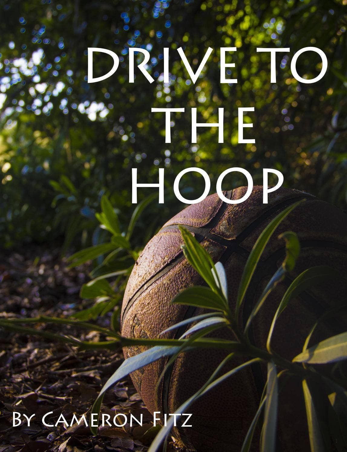 Article by cameron fitz by Freestyle Academy - Issuu