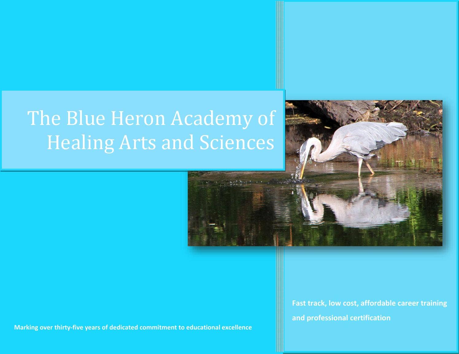 Blue Heron Academy Catalog by Gregory Lawton - Issuu