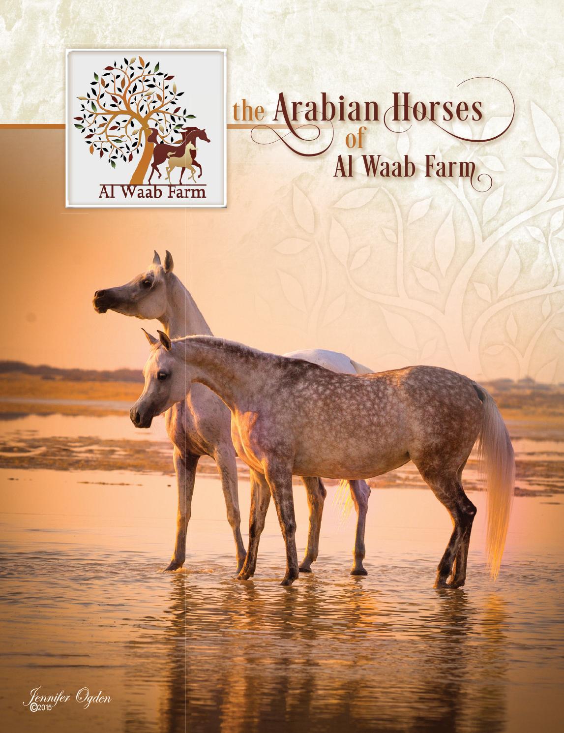 مزرعة الوعب Al Waab Farm Al Khor 968 9253 1771