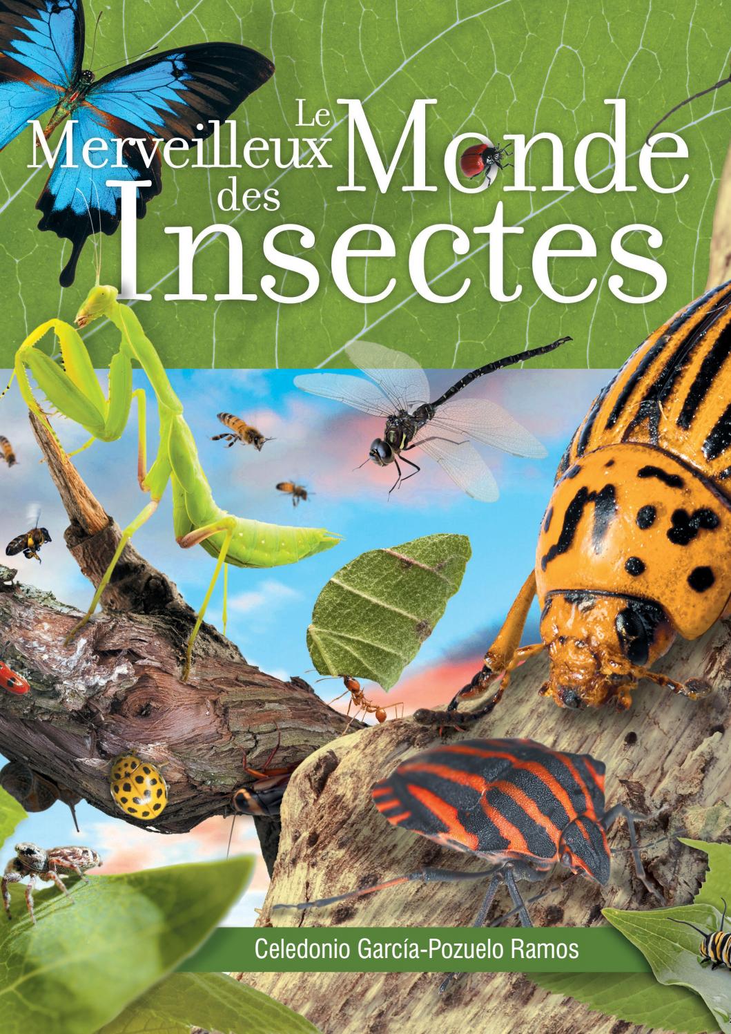 Le Merveilleux Monde des Insectes by Safeliz - Issuu