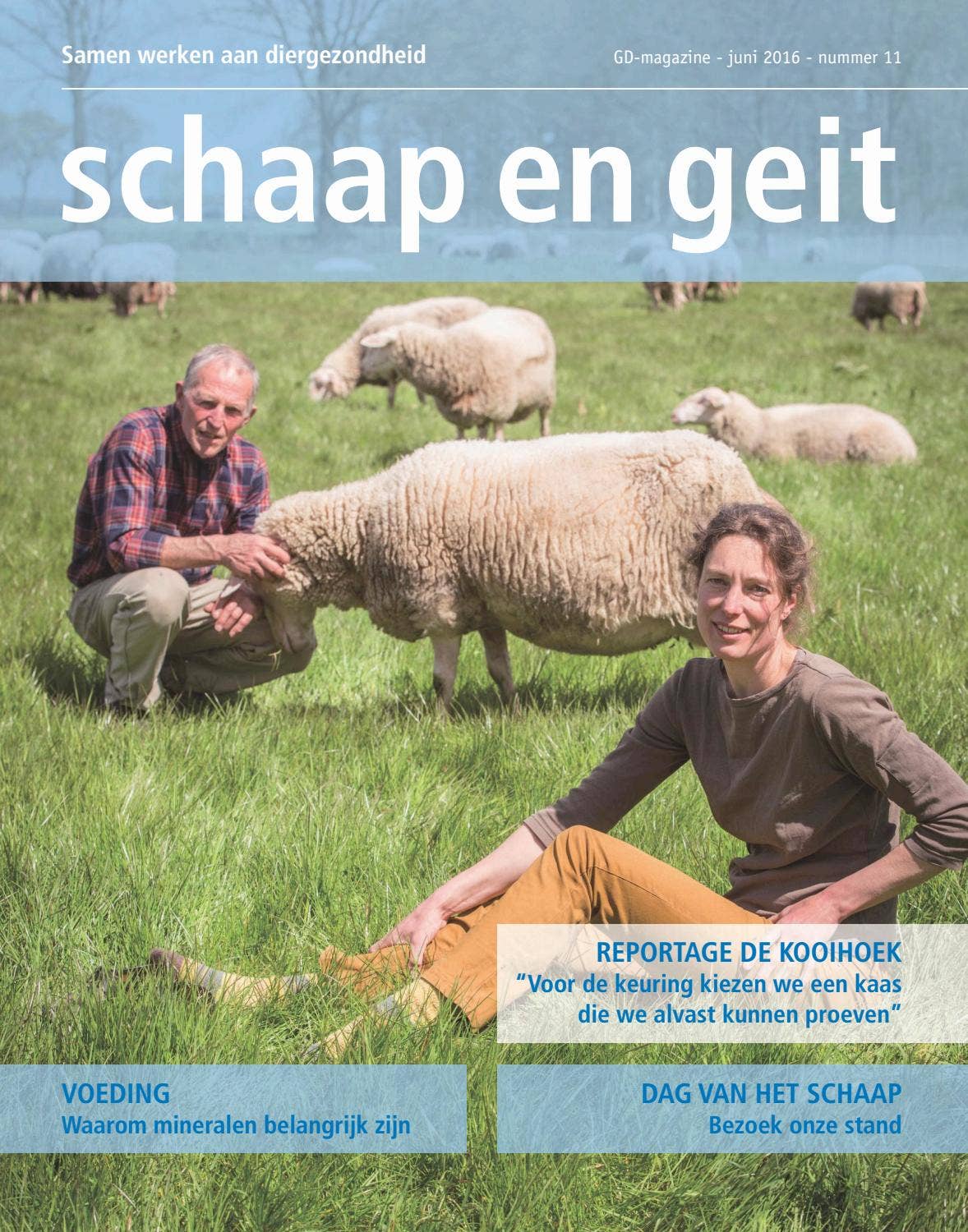 Schaap en Geit 11 by Royal GD - Issuu