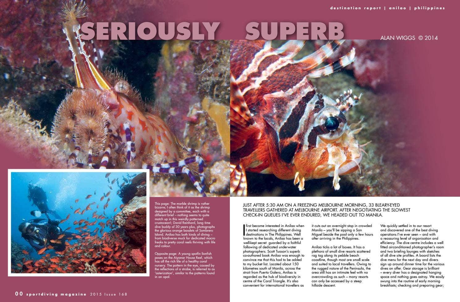 Anilao - seriously superb by Alan Wiggs - Issuu