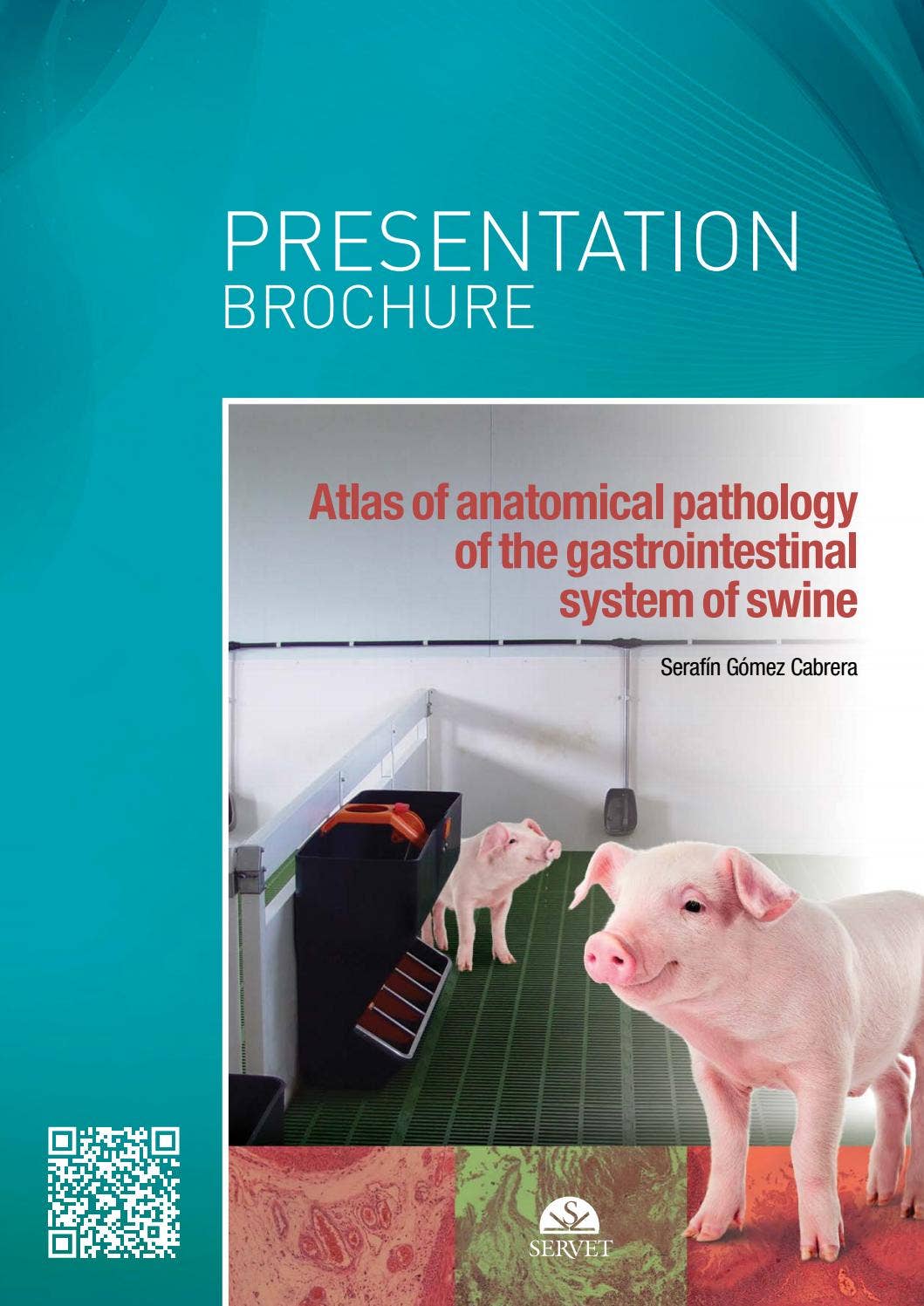 Atlas of anatomical pathology of the gastrointestinal system of swine ...