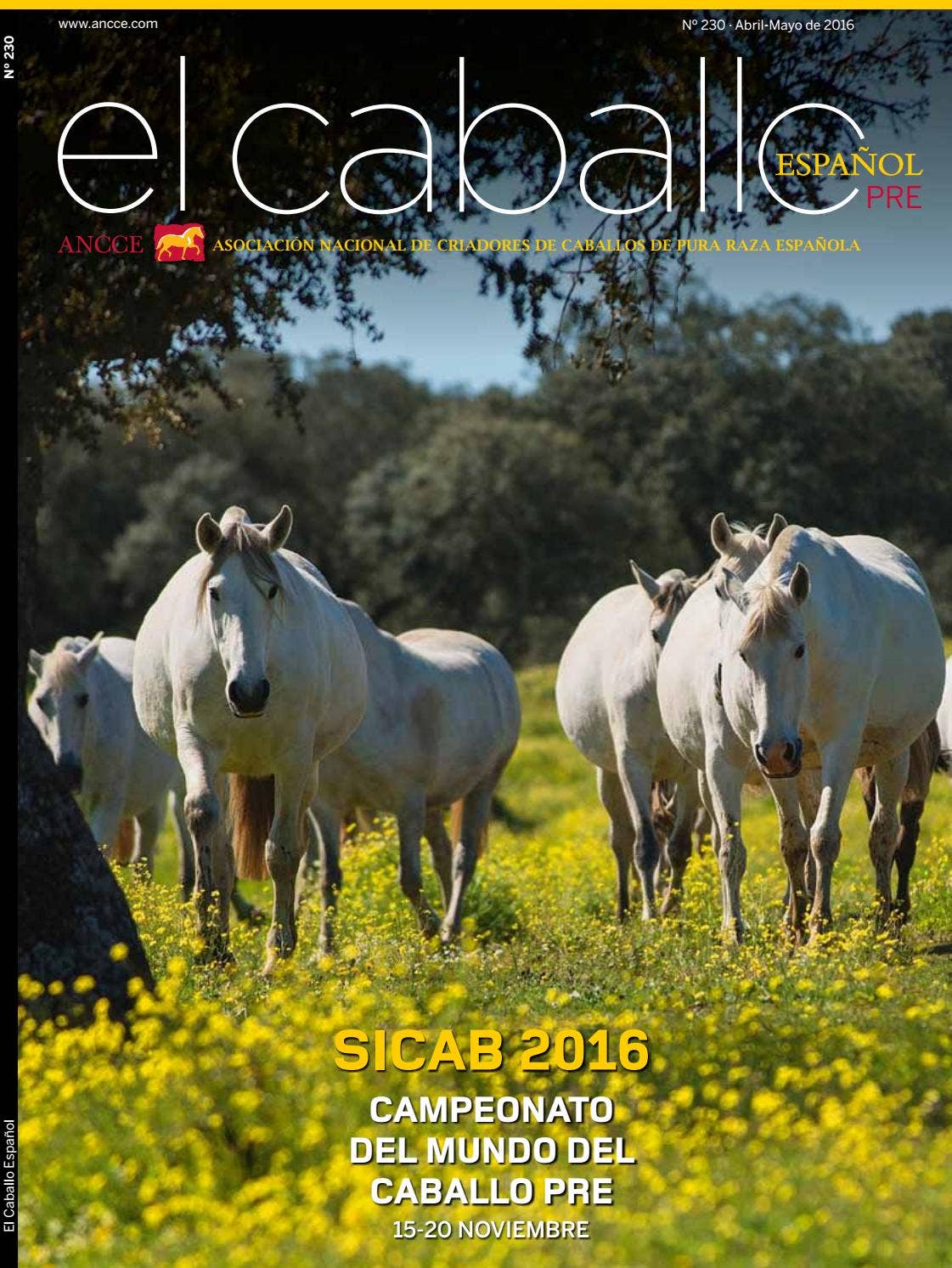 Revista El Caballo Español 2016 n.230 by Revista El Caballo Español ...