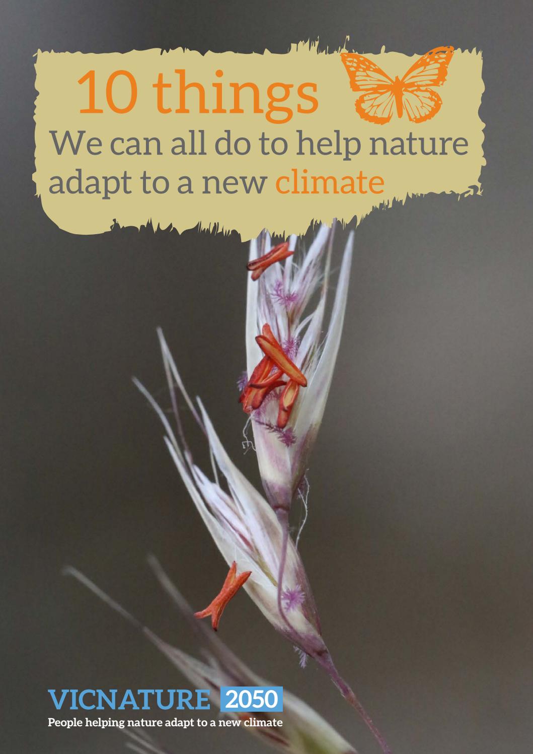 10 things we can all do to help nature adapt to a new climate by ...