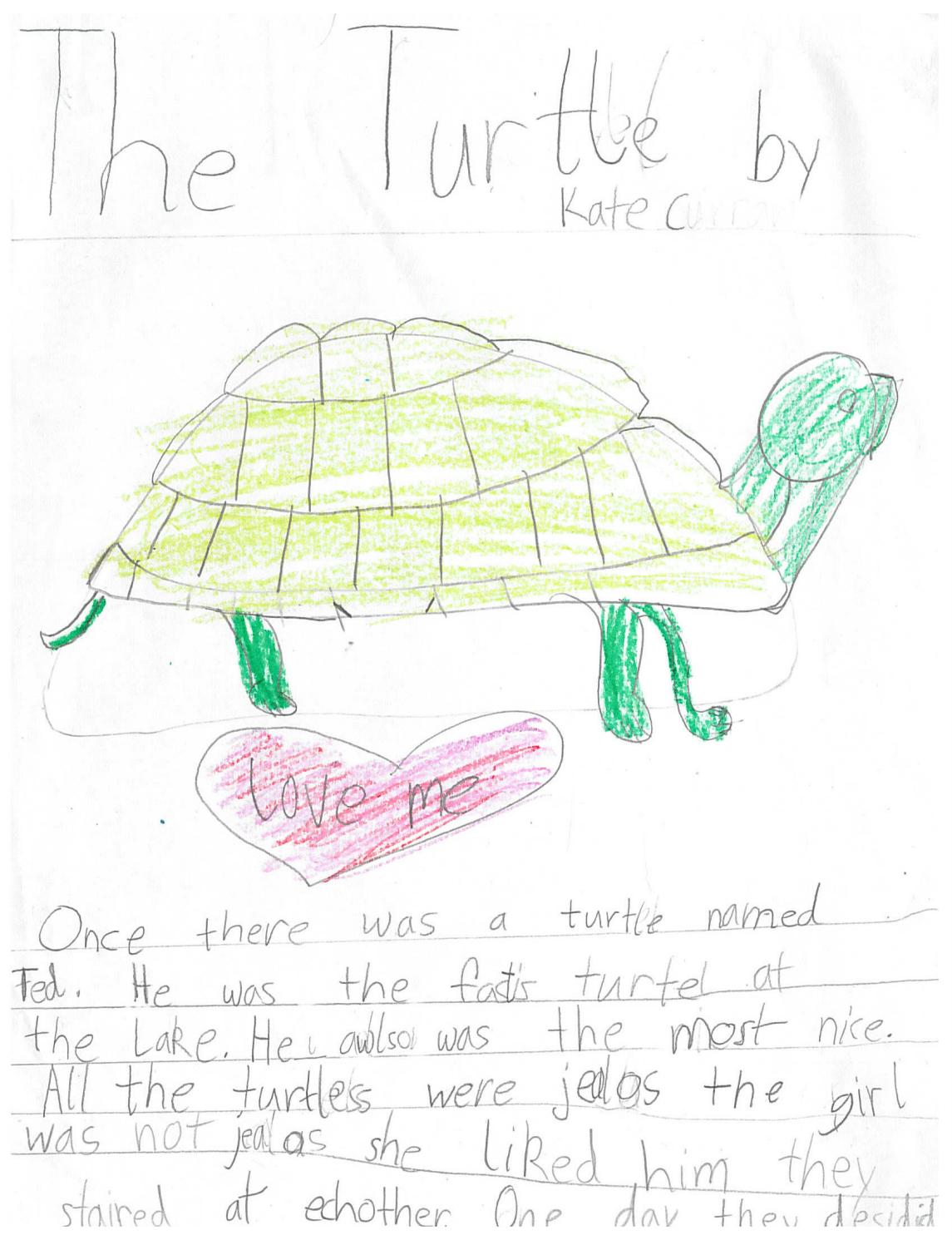 1 The Turtle by Kate C by WJCT - Issuu