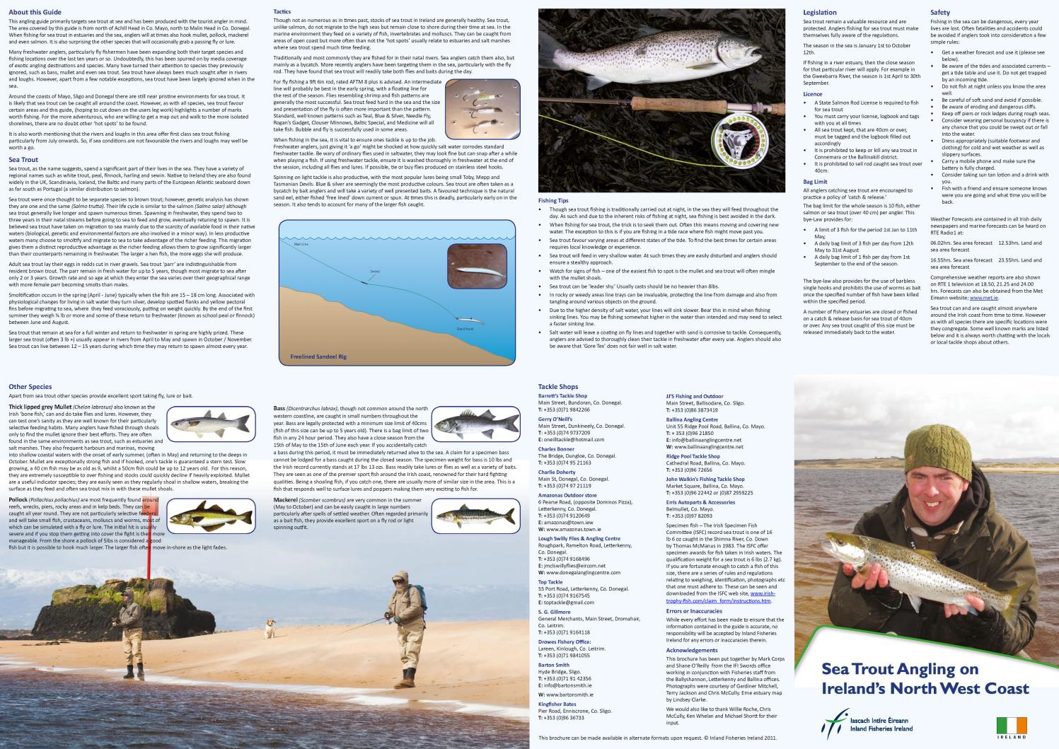 Fishing in Ireland > A Guide to fishing for Sea Trout on Ireland's ...