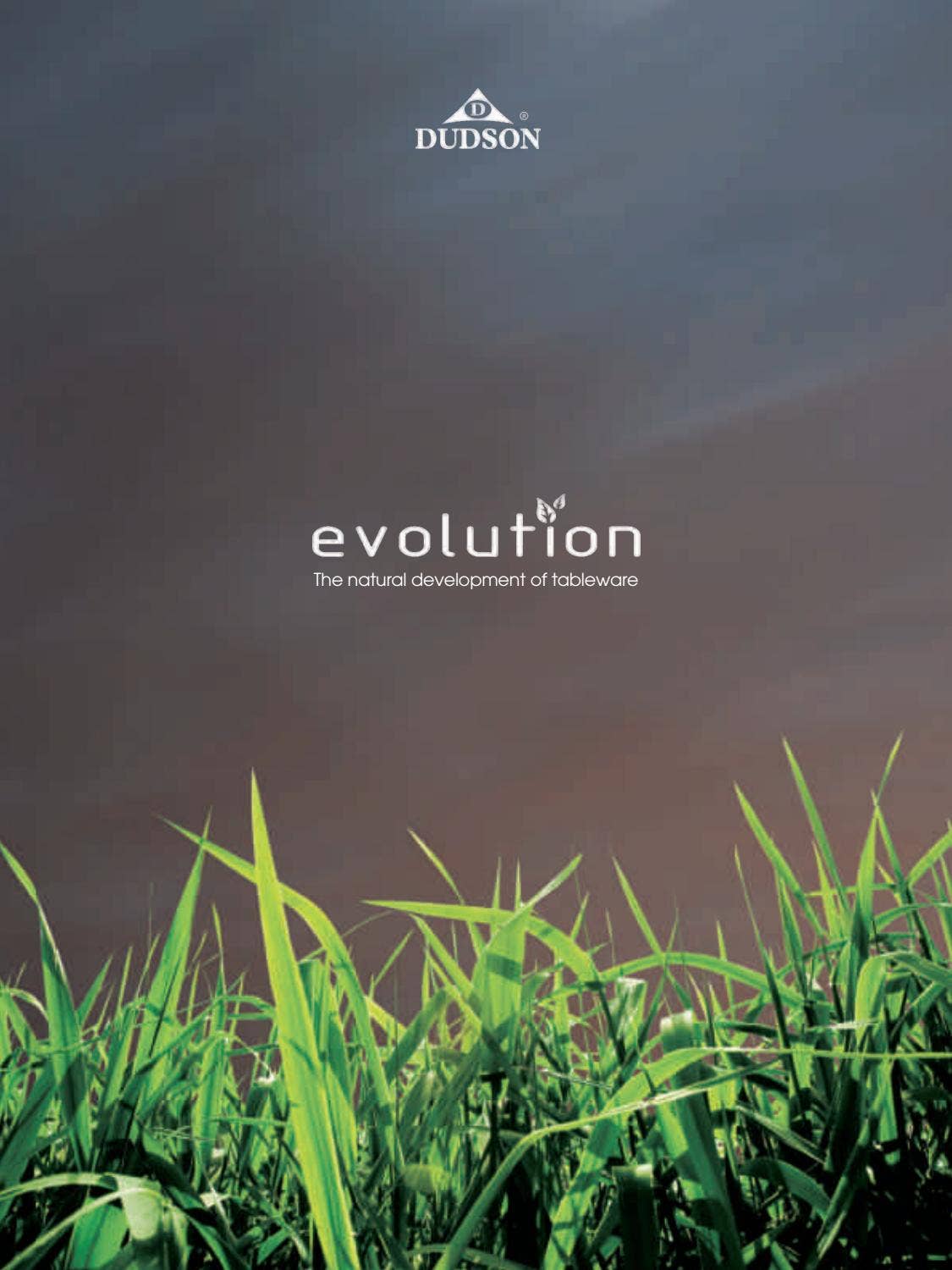 Vajilla dudson evolution by Servitel - Issuu