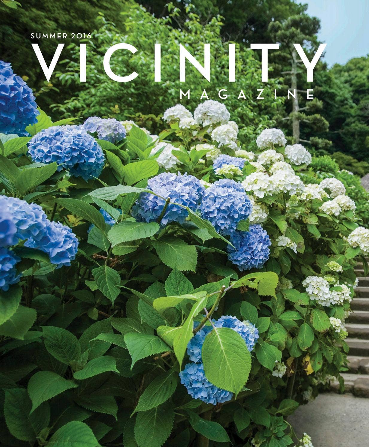 Vicinity Magazine by Vicinity Media Group - Issuu