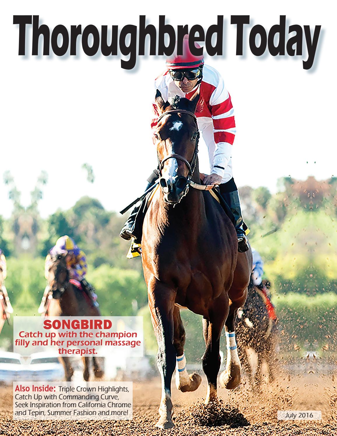 Thoroughbred Today July 2016 by EverythingEq - Issuu