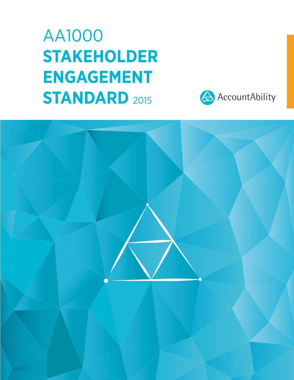 The AA1000 Stakeholder Engagement Standard (AA1000SES) by Rodrigo ...
