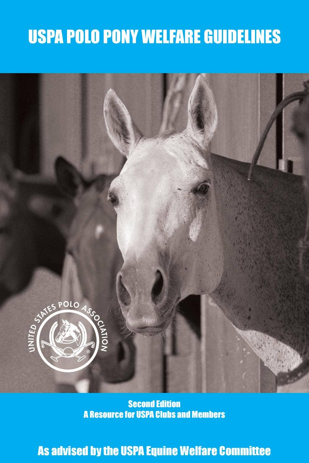 USPA Polo Pony Welfare Guidelines by United States Polo Association - Issuu