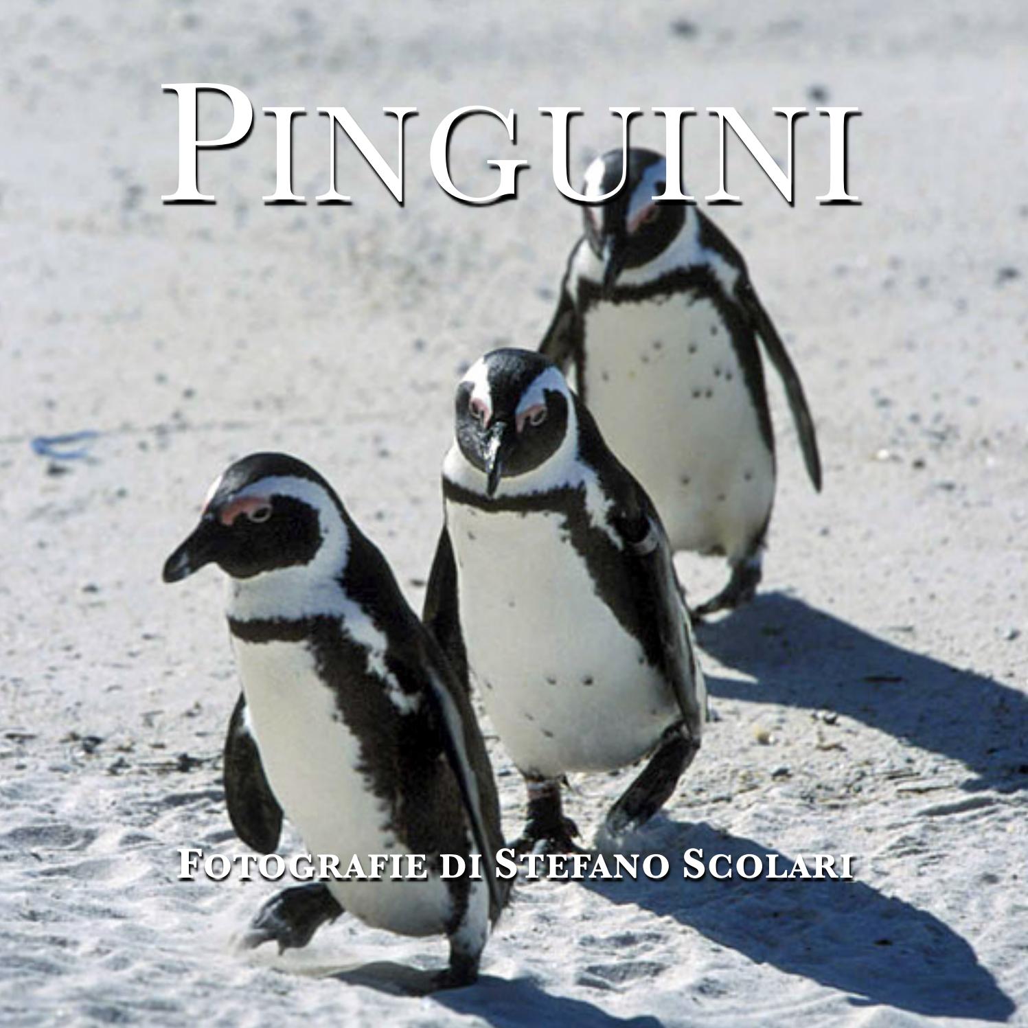 Pinguini by Stefano Scolari - Issuu