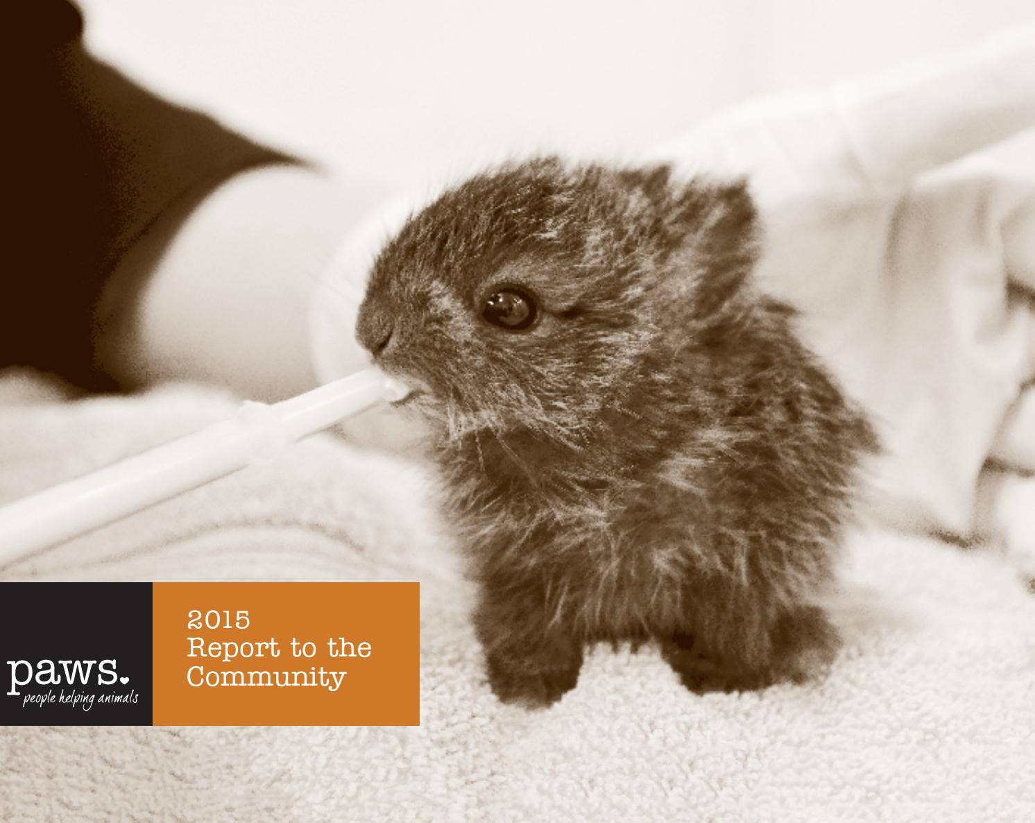 2015 PAWS Annual Report by PAWS - Issuu