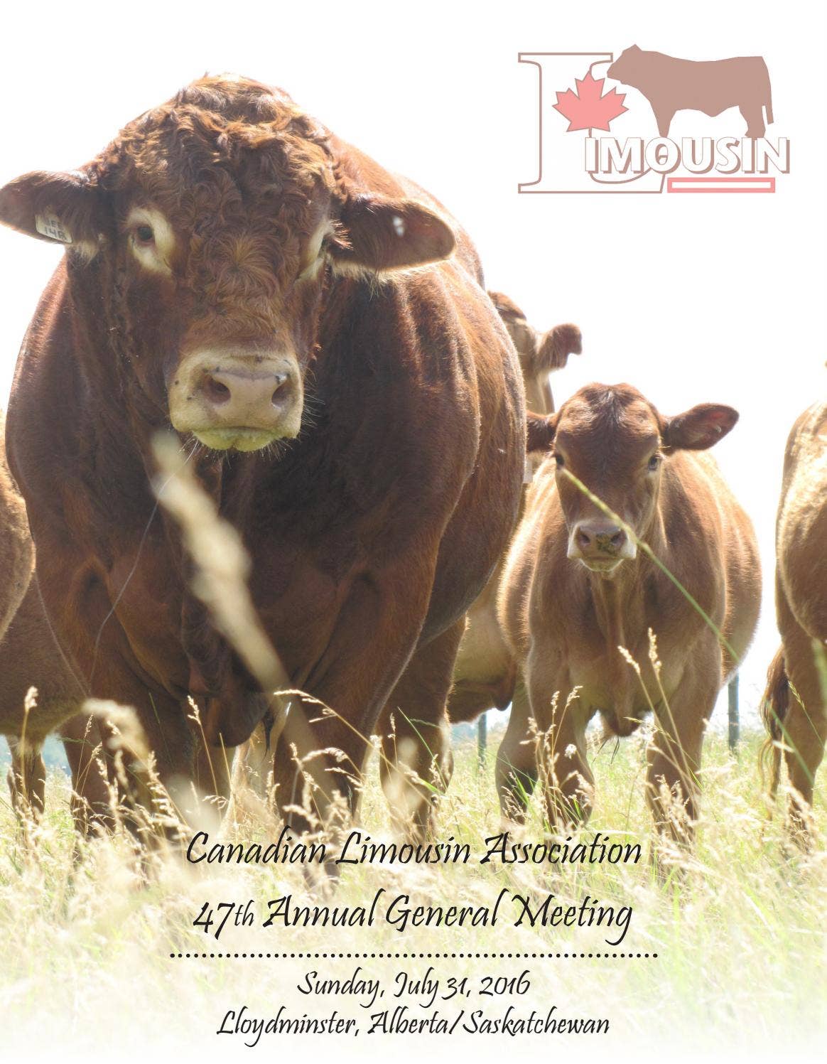 2015 Canadian Limousin Association Annual Report by Canadian Limousin ...
