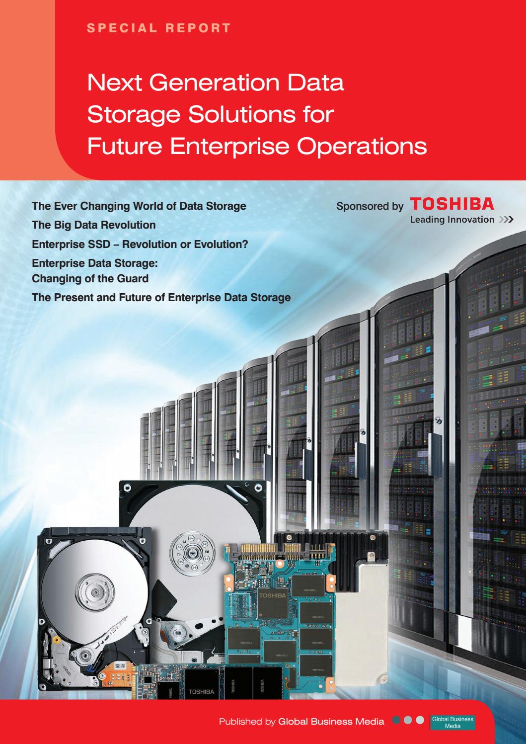 CEO Reports – Next Generation Data Storage Solutions for Future ...