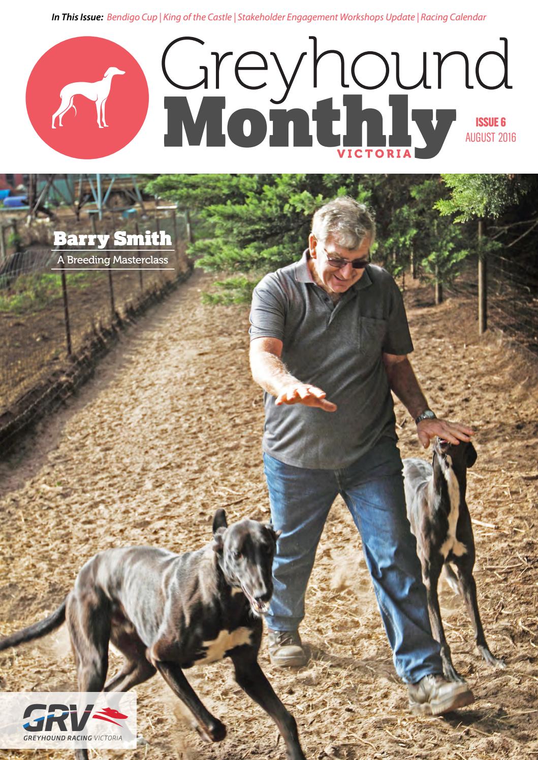 Greyhound Monthly Victoria - Issue 6 by Greyhound Racing Victoria - Issuu