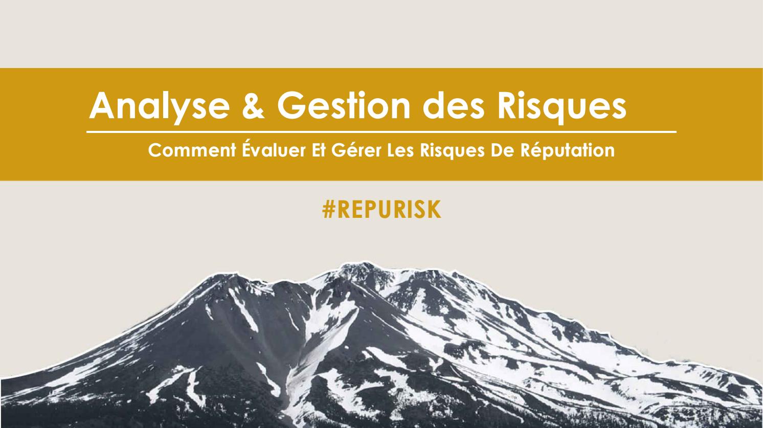 Repurisk - Analyse & Gestion des Risques - Comment Evaluer Et Gerer Les ...