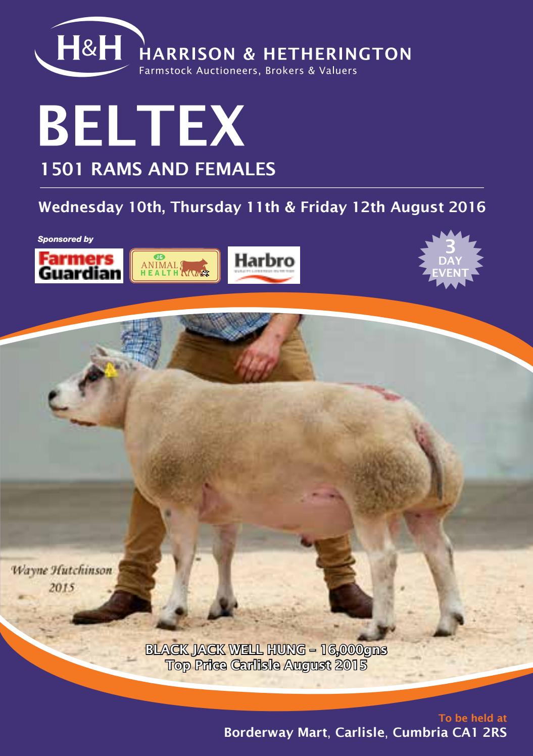 Beltex 1011120816 by Harrison & Hetherington - Issuu