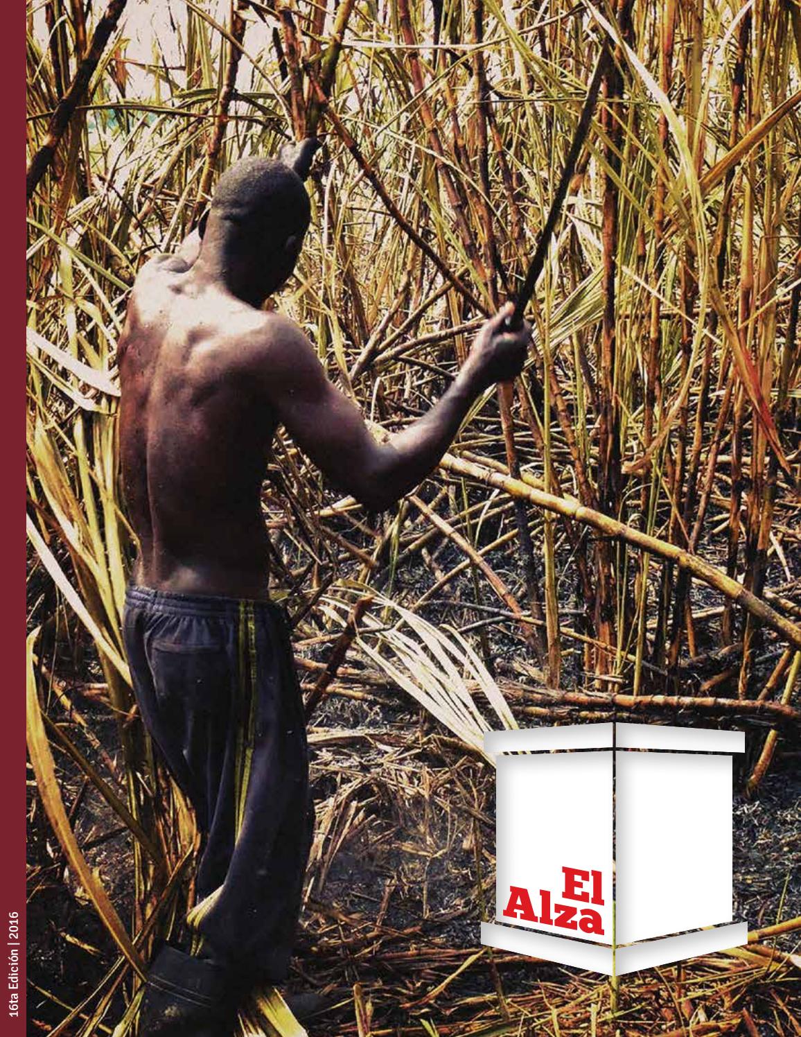 El alza by Instituto Tecnológico de Santo Domingo - Issuu