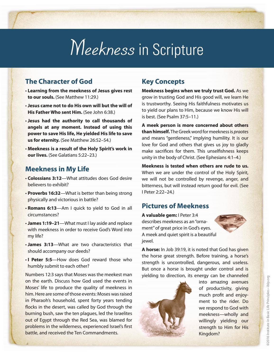 Meekness Biblical Character Curriculum by Institute in Basic Life ...