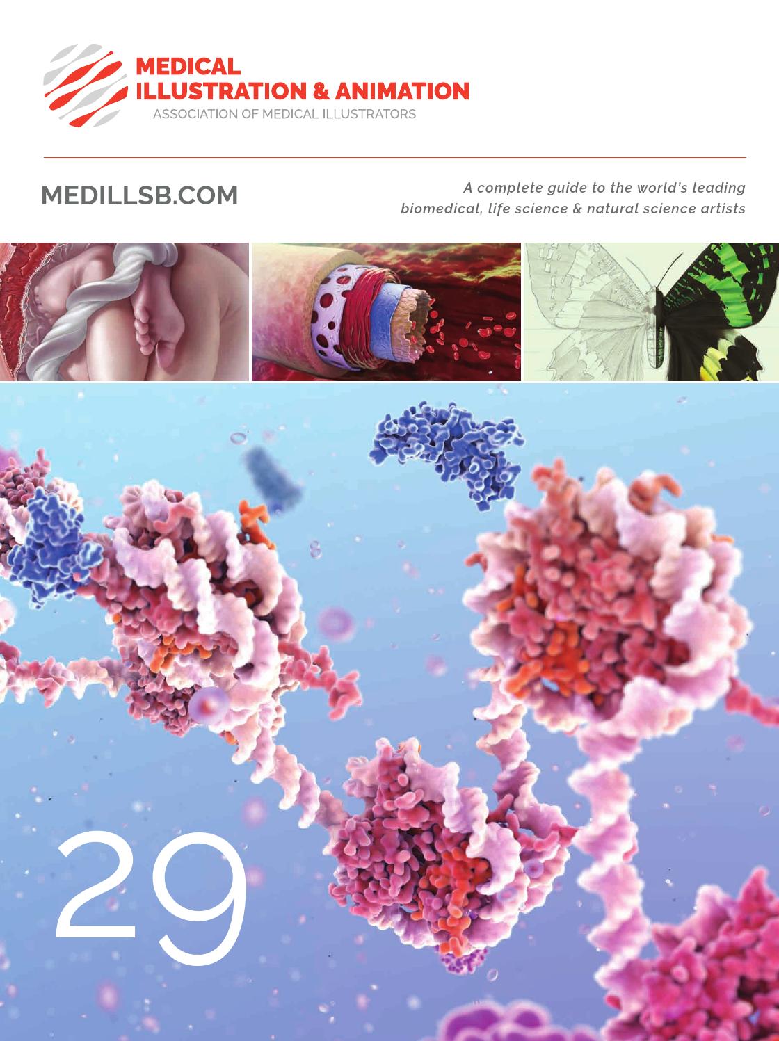 Medical Illustration and Animation 29 by Workbook Creative, Inc. - Issuu