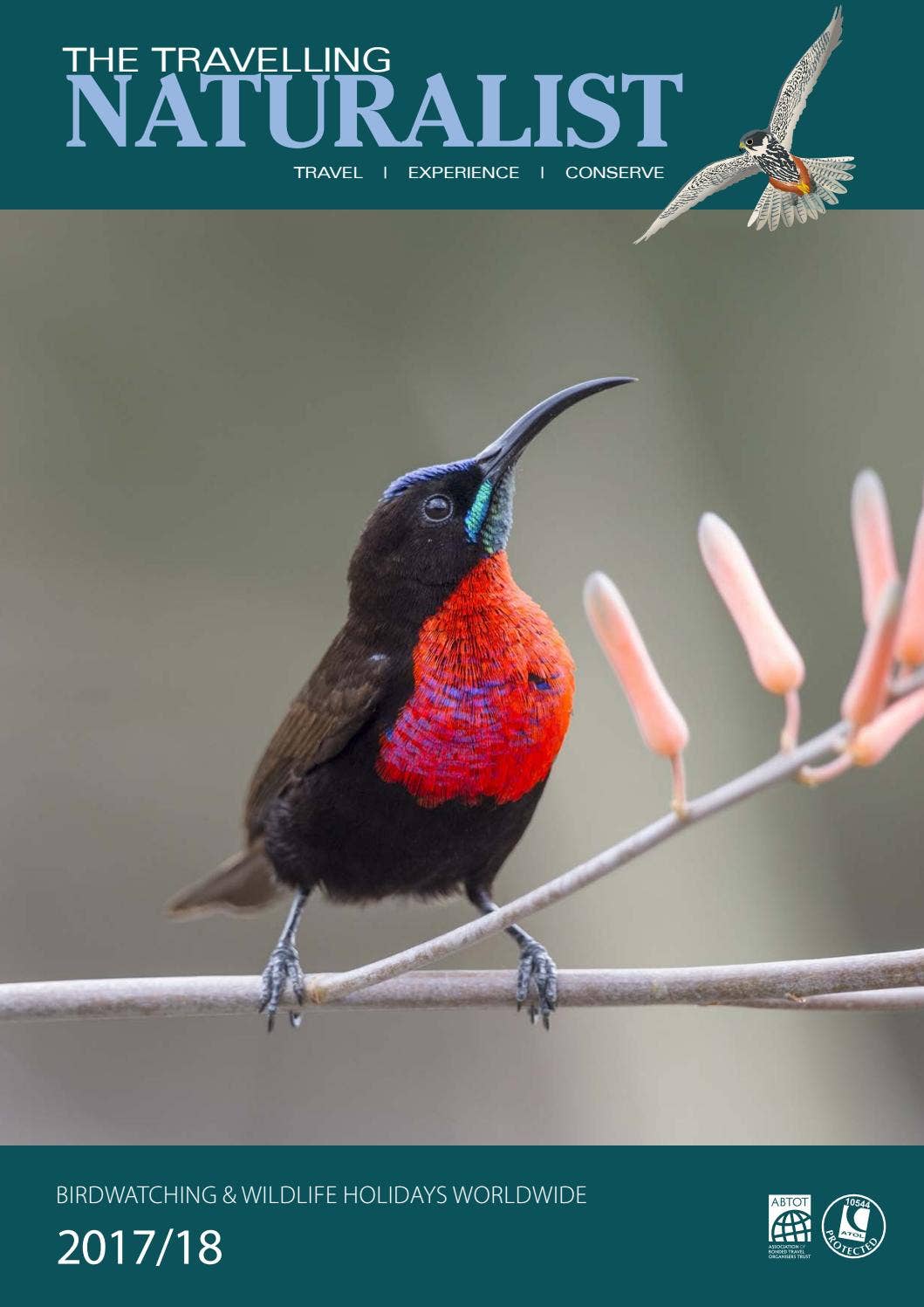 The Travelling Naturalist Brochure 2017/18 by The Natural Travel ...