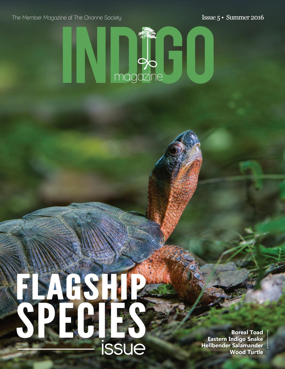 Indigo Magazine by The Orianne Society - Issuu