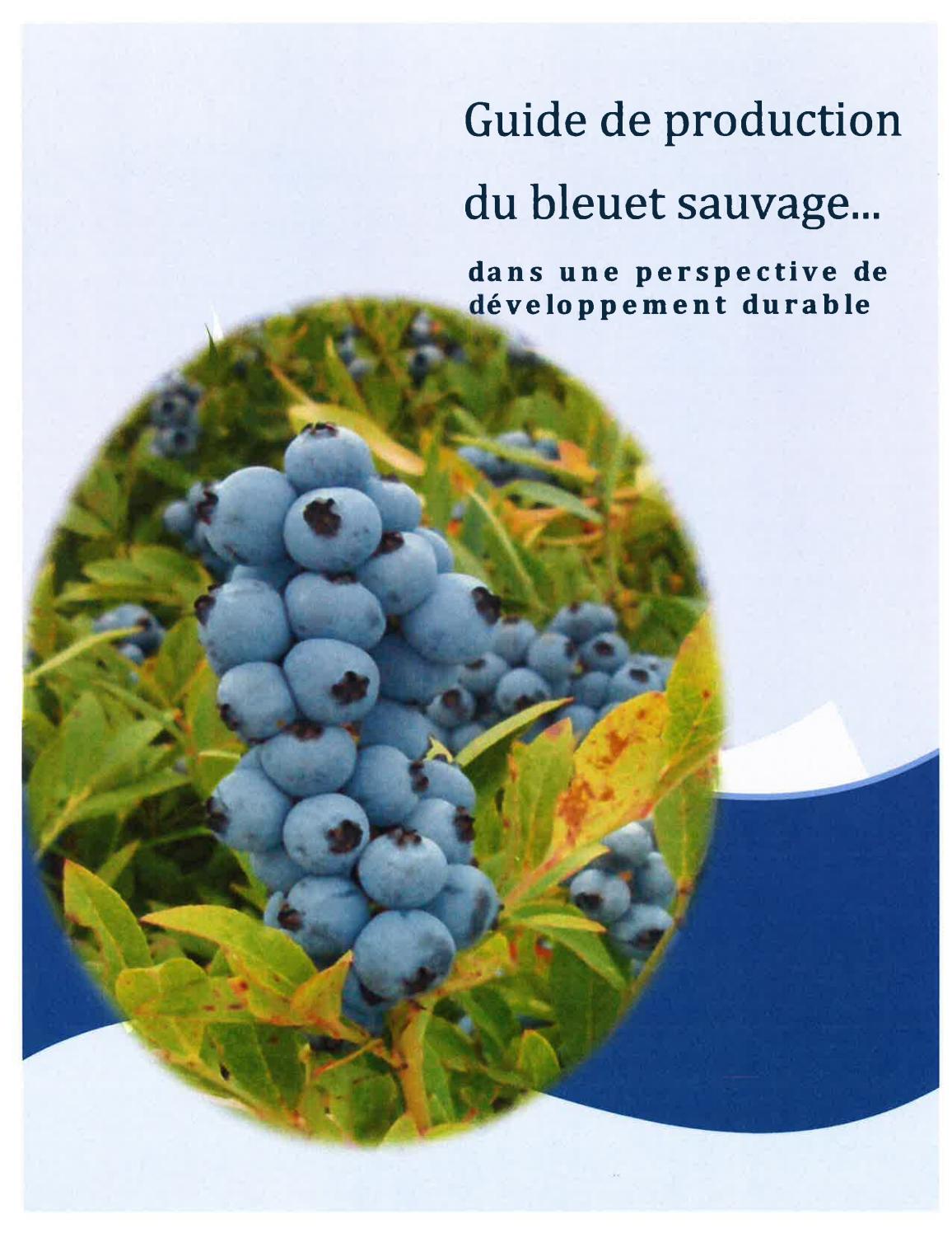 Guide de production du bleuet sauvage by CRAAQ - Issuu