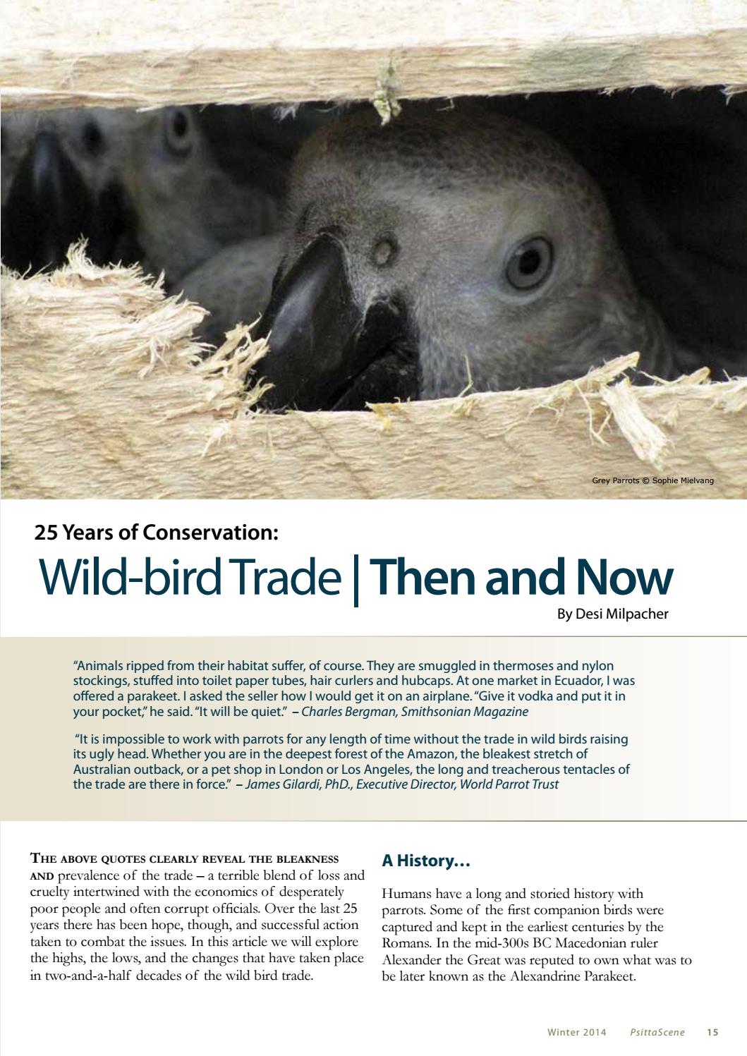 Wild-bird Trade: Then and Now by World Parrot Trust - Issuu